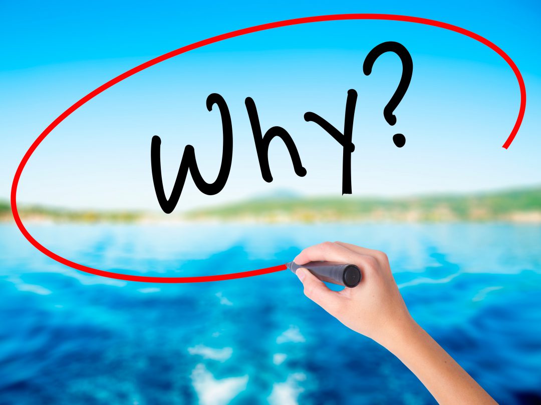 5 Tips to Strengthen your Transparency as a Leader | Design Your Success